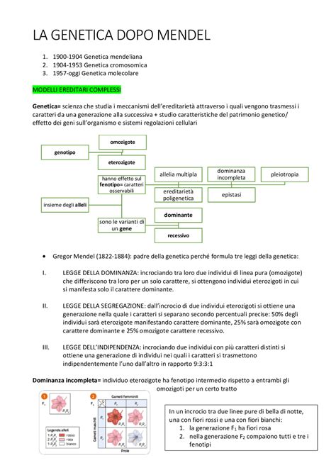 Genetica Post Mendeliana Mappa Concettuale Docsity Porn Sex Picture