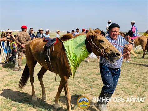 ТАНИЛЦ ГОВЬ ШАНХ 6 их насны морьдын уралдааны айргийн тав