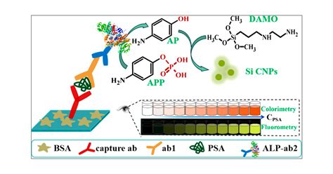 Alkaline Phosphatase Triggered In Situ Formation Of Silicon Containing Nanoparticles For A