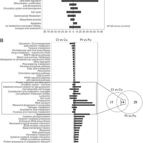 Transcriptomic Analysis A Principal Component Analysis Pca Of Full