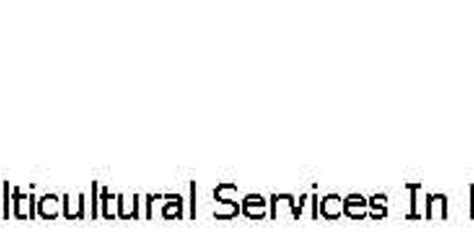 Your Values My Values Multicultural Services In Developmental Disabilities Imgur