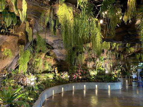 Pico Plays Fabrication Facility Is In Demand Across The Globe Blooloop