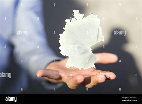 A Abstract Of Germany Map Network Internet And Global Connection Concept Wire Frame 3d Mesh