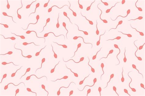 Understanding Semen Composition Function And Health Implications