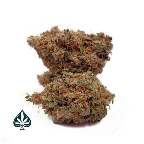 Island Pink By Queen Of Quads Indica Dominant Hybrid Aaaa