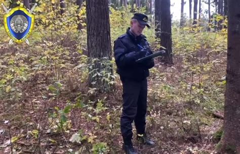 В лесу под Минском обнаружено два трупа мужчин СК