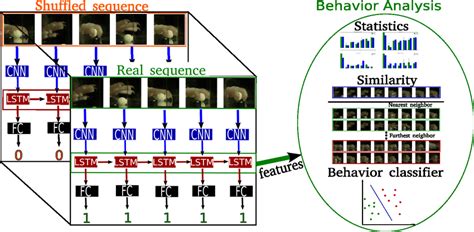 Visualization Of The Lstm Self Supervised Training As Input We Use
