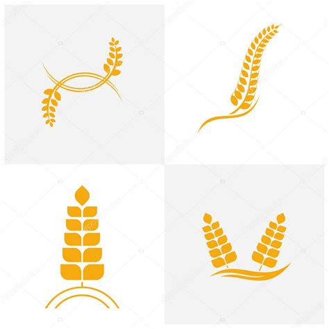 Conjunto De Vector De Plantilla De Logotipo De Trigo De Agricultura