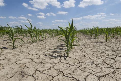 What Is Soil Degradation
