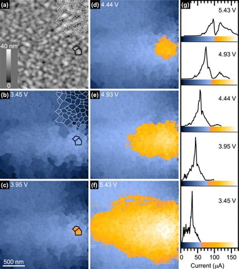 A Afm Topography Of The Vo 2 Surface Bf Current Download