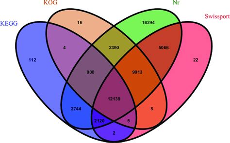 Venn Diagram Showing The Number Of Genes Annotated By Four Databases