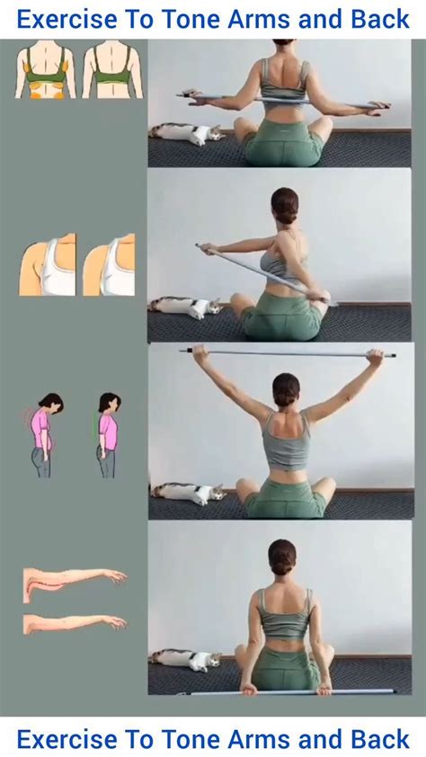 Exercise To Tone Arms And Back Artofit