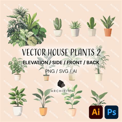 Photoshop Brushes Conifer Trees Elevation