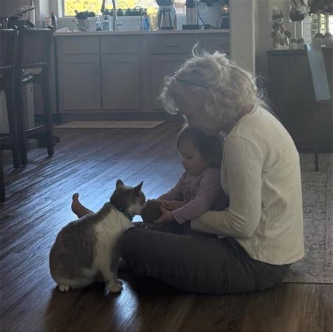 Beth Ackerman Happy Thanksgiving 🕊️the Rock Dont Move Facebook