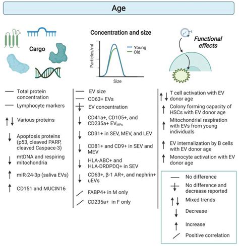 Influences Of Age Race And Sex On Extracellular Vesicle Characteristics
