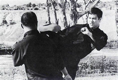 Bruce Lee Dan Inosanto Soundtrack Way Of The Dragon Kelly Hu Art