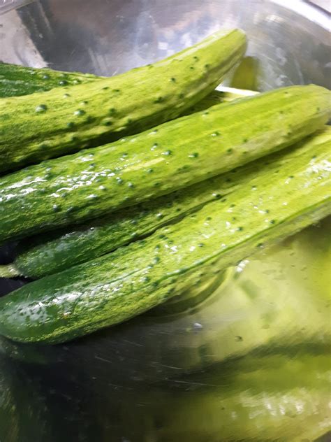 백오이간장피클