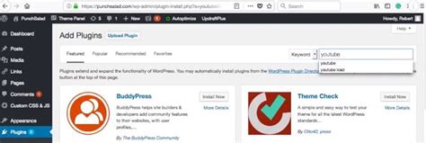 Embed YouTube Video Ultimate Guide PunchSalad