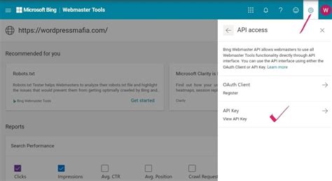 Instant Indexing API For Bing Rank Easily Within 5 Minutes