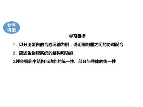 高中生物人教版（2019）必修一第三章第二节细胞器之间的分工合作（课时2）23ppt 21世纪教育网
