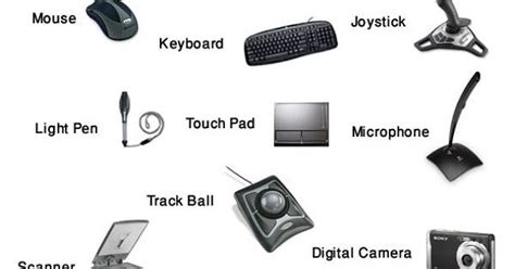 Input Devices Of Computerkeyboard Mouse Scanner Etc Smart Learning