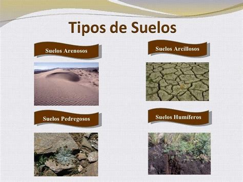 Suelos Arcillosos Arenosos Y Limosos 9 Fotos E Imágenes Gratis Imagui