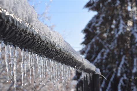 Plus De 70 Images De Verglas Et De Hiver Pixabay