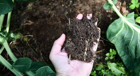 On Farm Community Composting Toolkit Released Morning Ag Clips