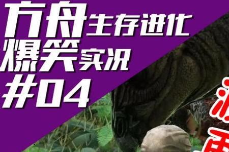 渡渡鸟能长到多大