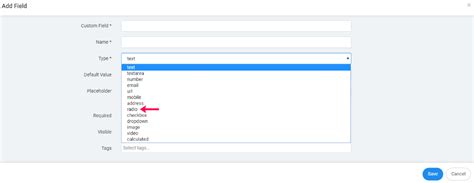 Form And Answer Custom Field Type Radio Leadshook Knowledge Base