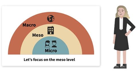 Meso Level Analysis Genially