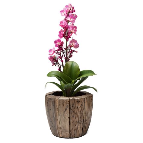 Download Rustic Planter Png 06122024