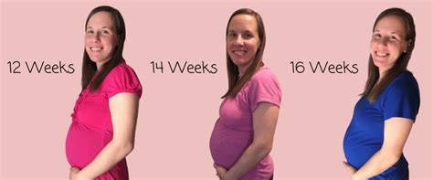 Twin Pregnancy Progression Photos From 4 Weeks To 34 Weeks The Way It Really Is