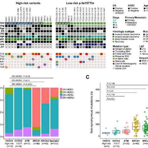 PDF The Landscape Of Somatic Genetic Alterations In Breast Cancers From CHEK Germline