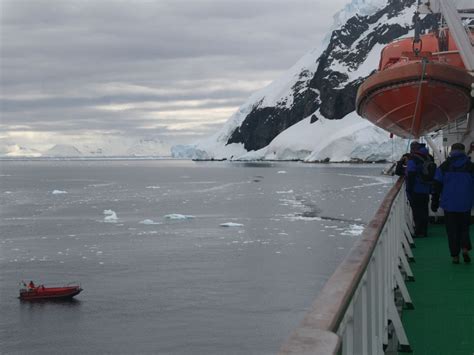 Svalbard Reindeer Feeling Of Loneliness Arctic Fox Midnight Sun