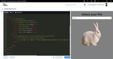 nihal afroze sk on linkedin day20 30daysofcodechallenge nxtwave