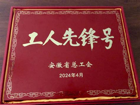喜报我局汪河池志愿服务大队荣膺安徽省工人先锋号 六安市数据资源管理局