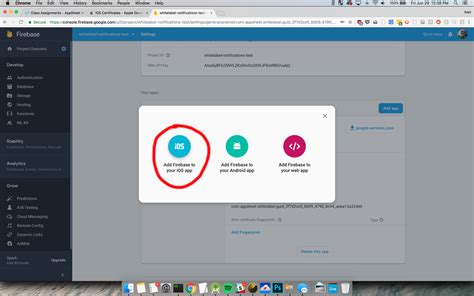 Enable Push Notifications In Ios Branded Apps Appsheet Help