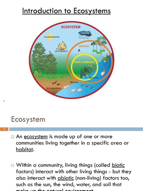Introduction To Ecosystems Pdf