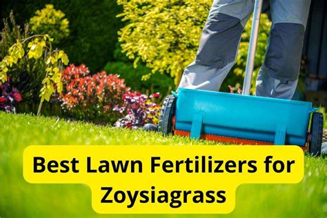 6 Best Lawn Fertilizers For St Augustinegrass Of 2025 Reviews