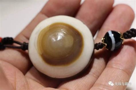 羊板眼天珠 千年羊板眼天珠 羊眼天珠 大山谷图库
