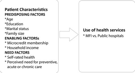 Conceptual Framework For Determinants Of Mfi Hospital Utilization