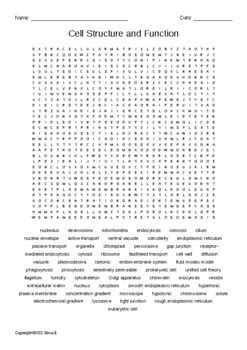 Cell Structure And Function Word Search For An Introduction To Biology Course