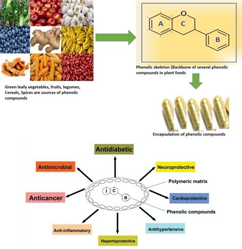 The Journal Of Nano Micro Biosystems On Linkedin Encapsulation Of