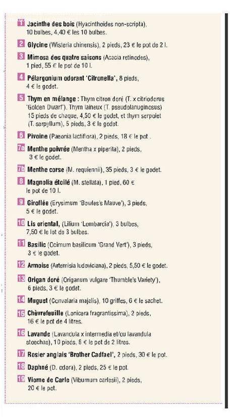 Hermes Garden Plan