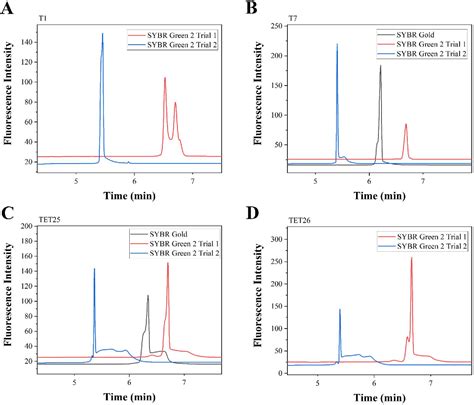 Figure 1 From Method Design For Separation Of Non Canonical Dna Structures Via Capillary