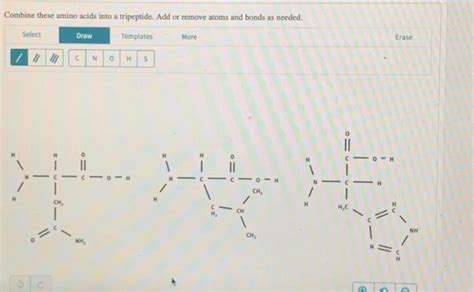 Solved Combine These Amino Acids Into A Tripeptide Add Or Chegg