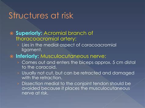 The Deltopectoral Approach Pdf