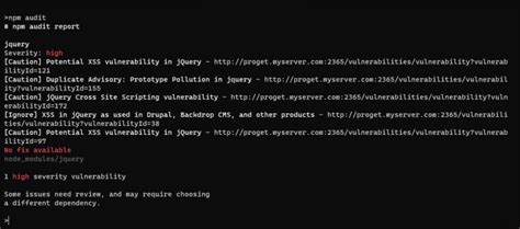 Npm Package Vulnerabilities And Effective Auditing
