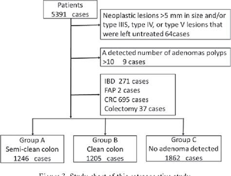 Figure 3 From The Concept Of ‘semi Clean Colon Using The Pit Pattern Classification System Has